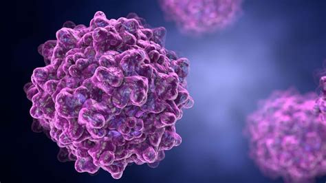 Streamlining Aav Production For Gene Therapy Technology Networks