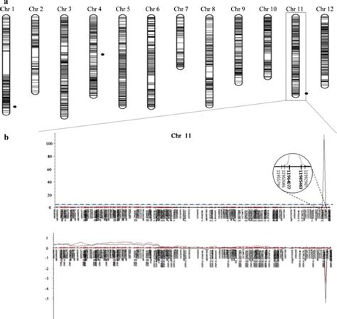 Linkage Map And Qtl Analysis Using F2 Mapping Population A Genetic