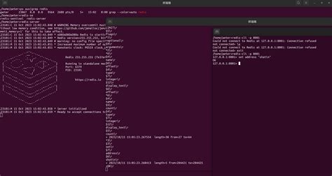 Redis Uses Its Own Protocol To Communicate Between Redis Server And