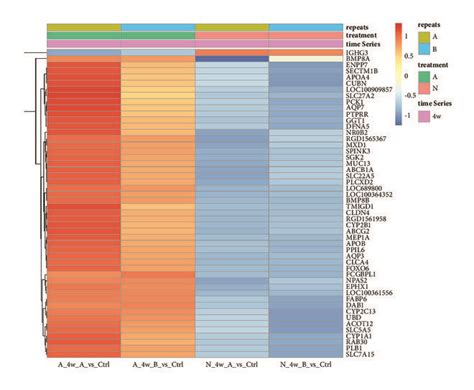 Gene Expression Pattern Of Each Time Point A Heat Map Of The Top 50