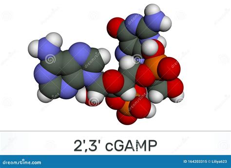 C Gmp Amp 2` 3` Cgamp Cyclic Guanosine Monophosphate Adenosine