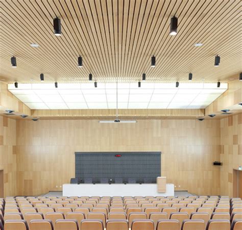 Auditorium Acoustic And Ceiling Credence Industries