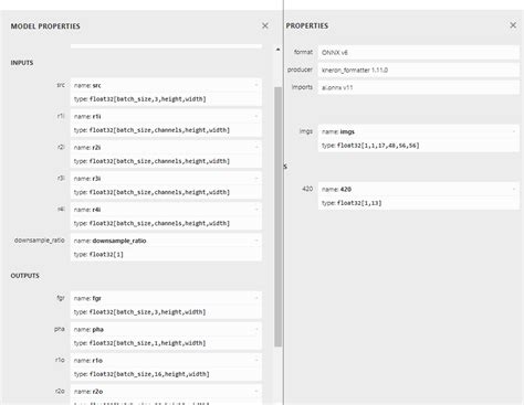 Onnx2onnx 錯誤 — Kneron Developer Forums