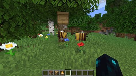 How To Use A Beehive In Minecraft 1 19