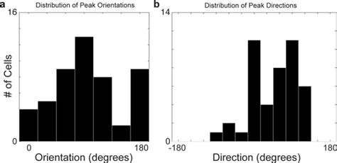 Anatomy And Function Of An Excitatory Network In The Visual Cortex