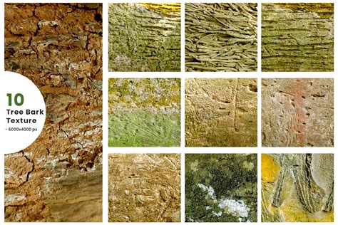 Tree Bark Texture Background Graphic By Tanjila Creative Fabrica