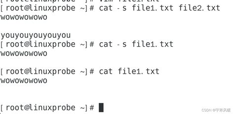 Linux———cat命令详解linux Cat Csdn博客