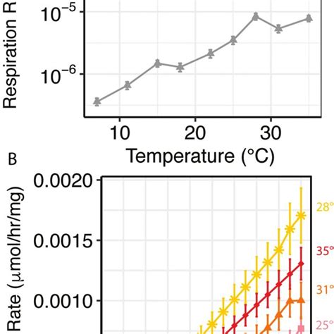 Temperature Sensitivity Of Respiration Rate A Respiration Rates Download Scientific Diagram