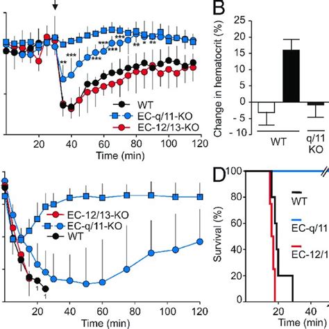 Passive And Active Anaphylaxis In Endothelium Specifi C G Q G 11 And G