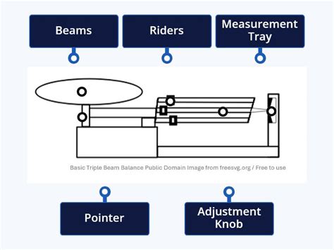Triple Beam Balance Labeling Labelled Diagram