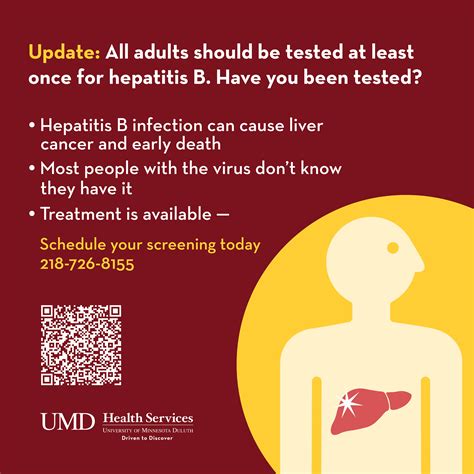 Hepatitis B Infection Screening And Testing Guidelines Health Services UMN Duluth