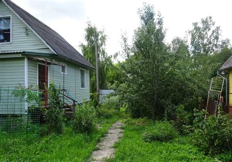 Олег з дружиною приїхав до брата на дачу Ох і спека сьогодні сказав він Миколі Олег зняв