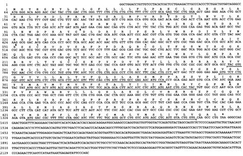 nucleotide and deduced amino acid sequences of a cdna clone encoding
