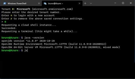 Openjdk11下载 Openjdk11最新版下载 编程开发软件 Pc下载网