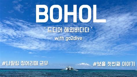 필리핀 보홀 스쿠버 다이빙1 4k ㅣ Go2dive L 드디어 해외다 ㅣ 투명함의 끝 필리핀바다 ㅣ 환상적인 나팔링 정어리떼 군무 ㅣ Diving Vlog 해외편