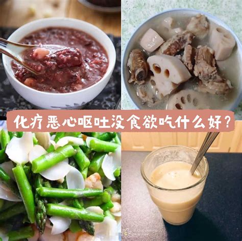 化疗恶心呕吐没食欲吃什么好？ 哔哩哔哩