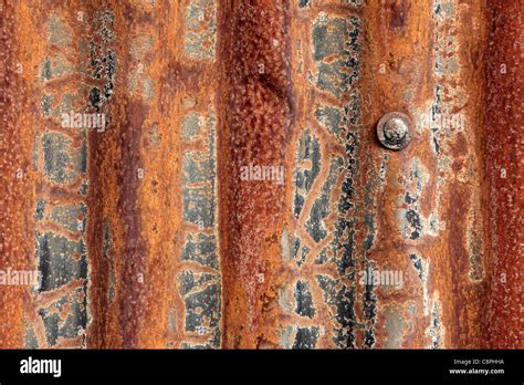 Close Up Of A Rusty Tin Shed Stock Photo Alamy