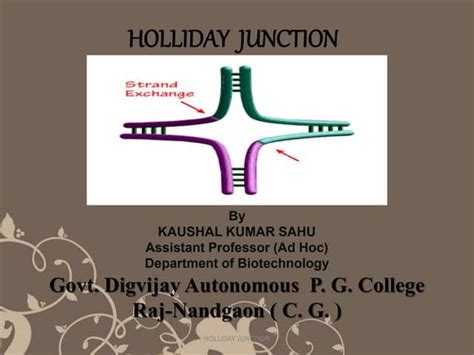 Holliday Model Of Dna Recombination Pptx