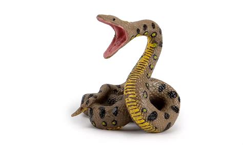 High Simulation Python Model Groupon Goods