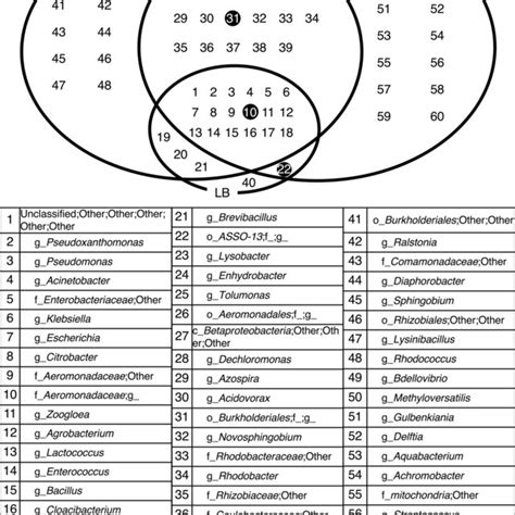 The Summary Of The Number Of Colonies On Agar Plates Prepared With Download Scientific Diagram