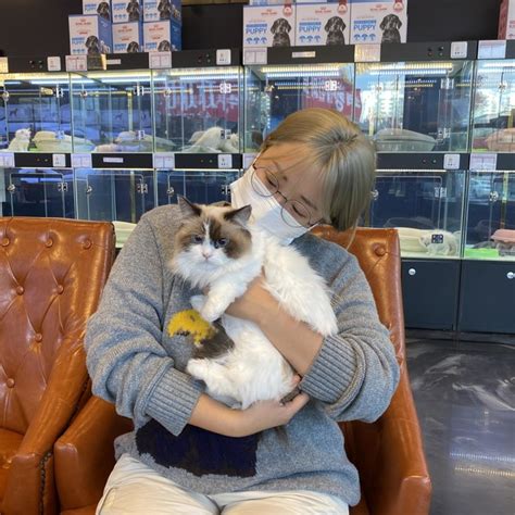 인천논현 2021 0035 먼치킨 레가퍼 루비 책임분양 포메라니안특징 푸들특징 토이푸들특징 골든리트리버특징 래브라도리트리버특징 닥스훈트특징 도베르만특징 말티치특징 말티폼