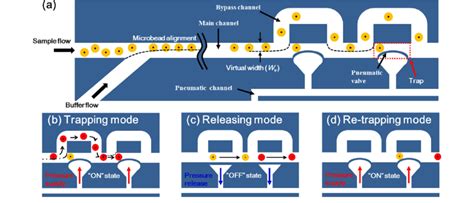 Schematic Top Views Of A Portion Of A Dynamic Microarray Device