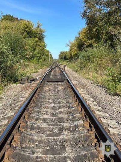 Новини України останні та свіжі події в країні регіонах та містах — Tsn Ua