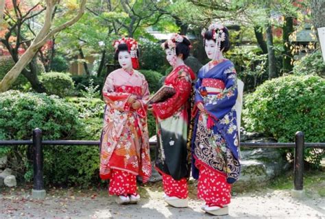 Japanese Traditional Kimono Dress