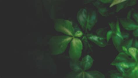 GIS Mapping Software Location Intelligence Spatial Analytics Esri