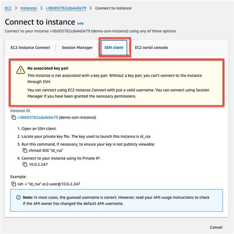 how to access a private ec2 instance using aws ssm