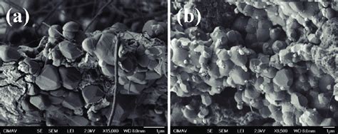 Sem Of Fracture Surfaces Of Zta With Additions Of A 10 Vol Mwcnt Download Scientific