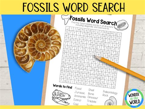 Fossils In English Word At Timothy Bottom Blog