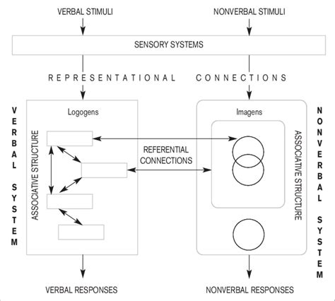 General Model Of Dual Coding Theory Download Scientific Diagram