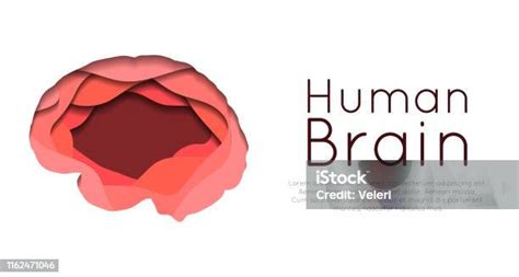 흰색 배경에 종이에서 잘라 계층화 인간의 두뇌와 수평 배너 종이 컷 종이 접기와 카드 정신 건강의 날 벡터 템플릿 자르기에 대한 스톡 벡터 아트 및 기타 이미지 Istock