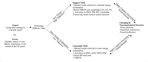 Schematic Overview Of Neural Efficiency In Athletic Brain Download Scientific Diagram