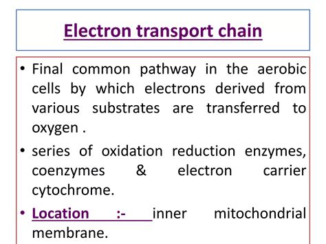 Biological Oxidation Ppt