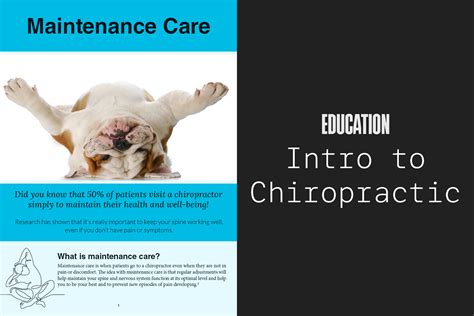 Chiropractic Maintenance Care Ground Chiropractic