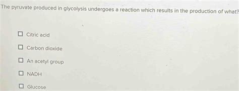 Solved The Pyruvate Produced In Glycolysis Undergoes A Reaction Which Results In The Production