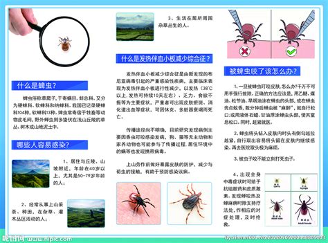 夏季预防蜱虫防虫知识点设计图广告设计广告设计设计图库昵图网