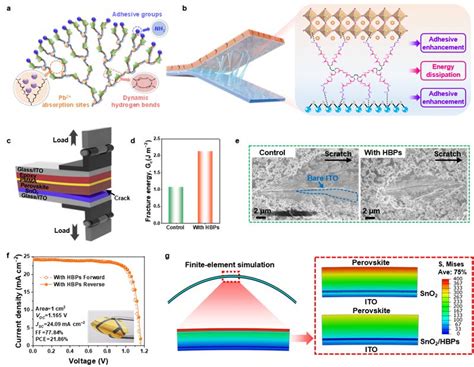 我校师生在提高柔性钙钛矿太阳能电池稳定性方面取得新进展 视窗 西北工业大学新闻网