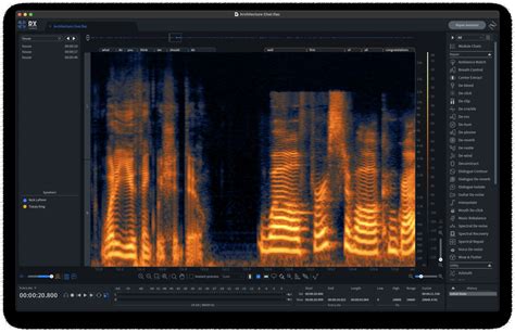 Rx 11 Spectrogram