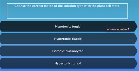 Solved Choose The Correct Match Of The Solution Type With Chegg Com