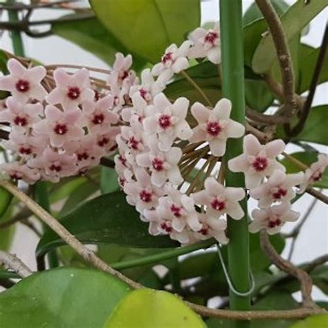 김혜린의 브런치스토리