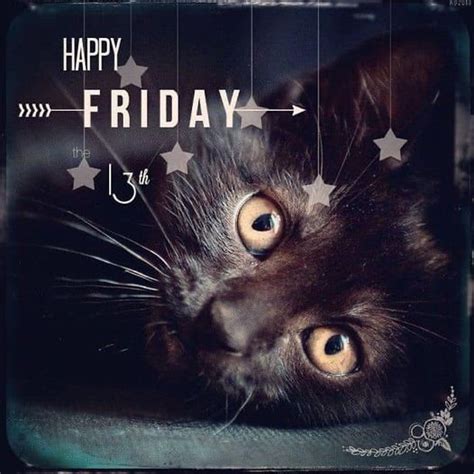 Pin By Jacqueline Knowles On Crazy Cat Lady Happy Friday The 13th Good Morning Sunshine