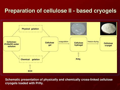 Three Dimensional Hydrogels For Biomedical Applications Ppt Download