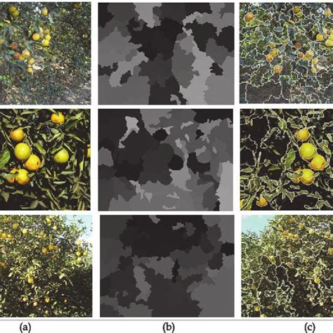 A Original Images B Color Quantization Map Of Classes C
