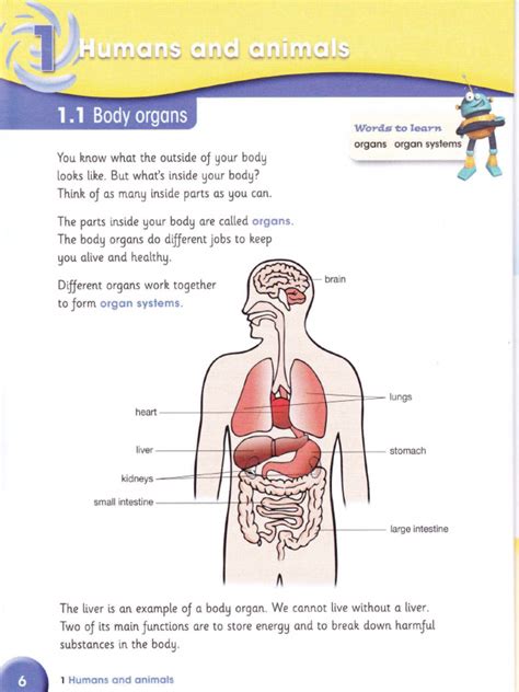 Unit 1 Cambridge Primary Science 6 Learners Book Pdf