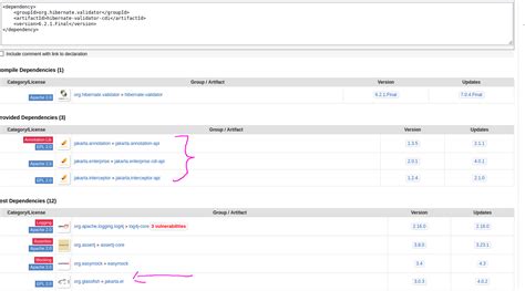 Proper Helidon Mp Bean Validation Configuration · Issue 4573 · Helidon