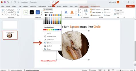 Convert Square To Circle Image With 4 Methods Free And Practical