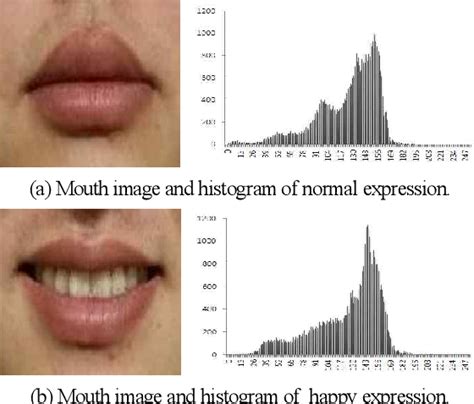 Figure 3 From A Face Expression Recognition Method Using Histograms Semantic Scholar